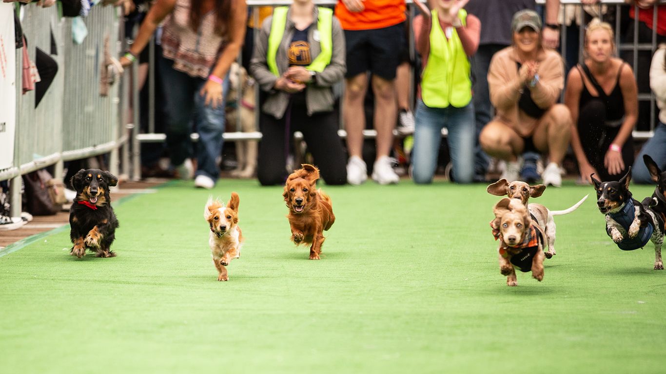 The best fall festivals around D.C. this season