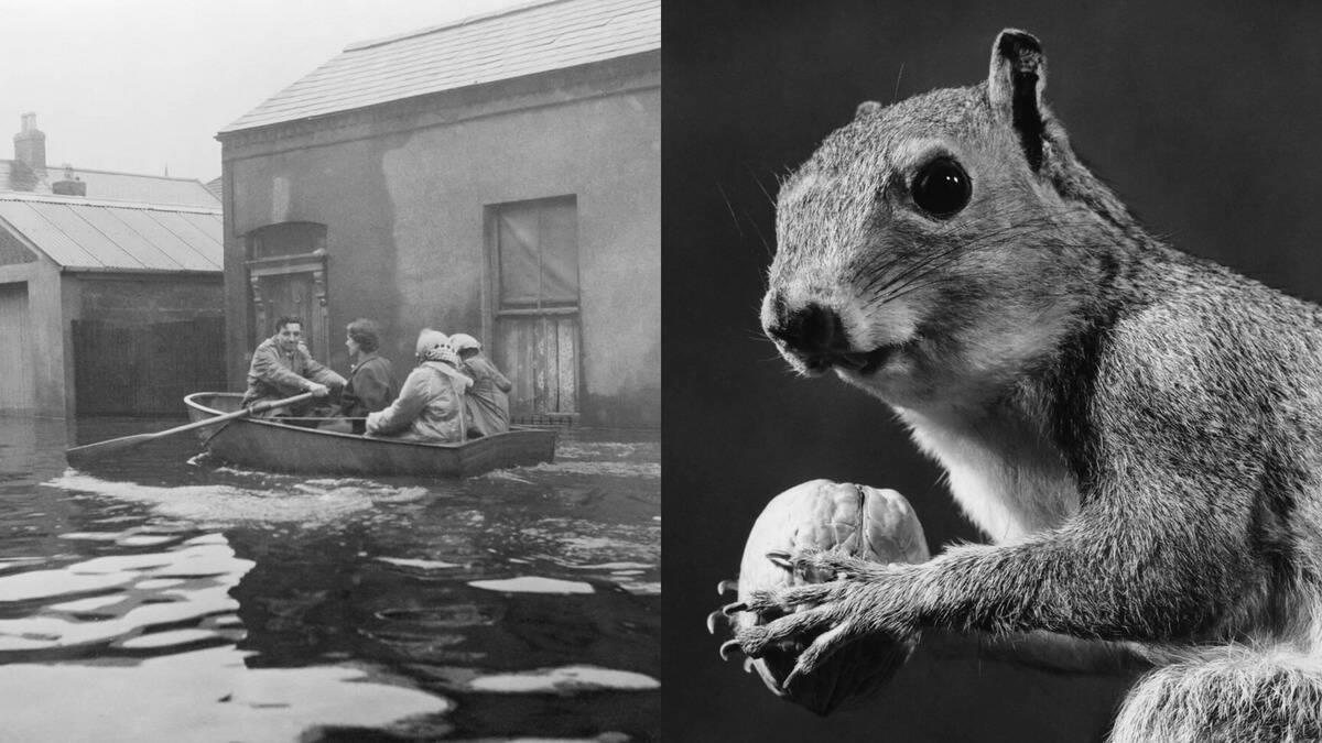 The unexpected origins of everyday phrases