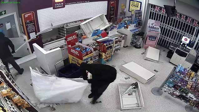 Moment masked gang loot Sainsbury's after smashing through shop window