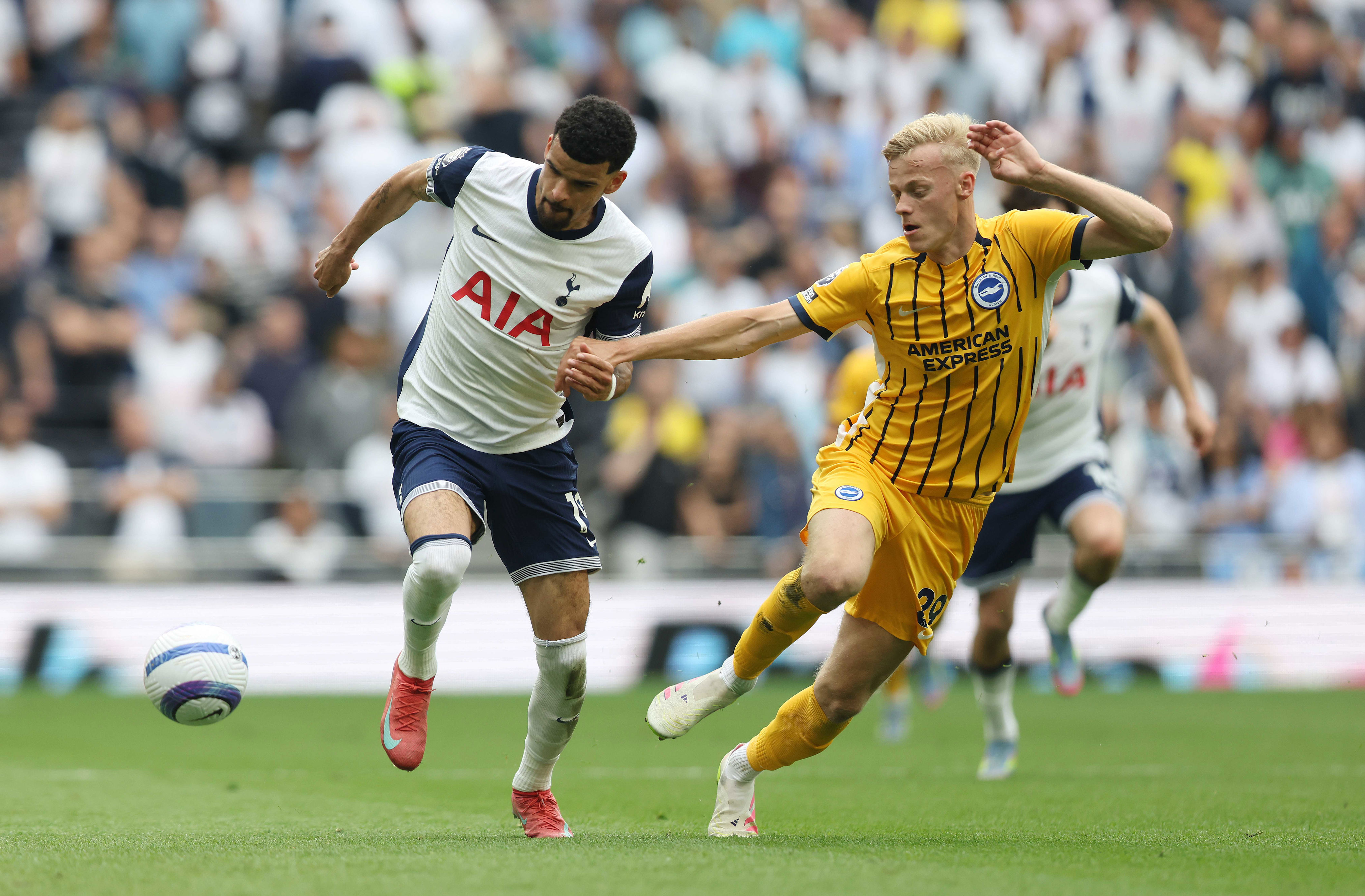 Brighton & Hove Albion vs. Tottenham Hotspur Preview: Trends emerge