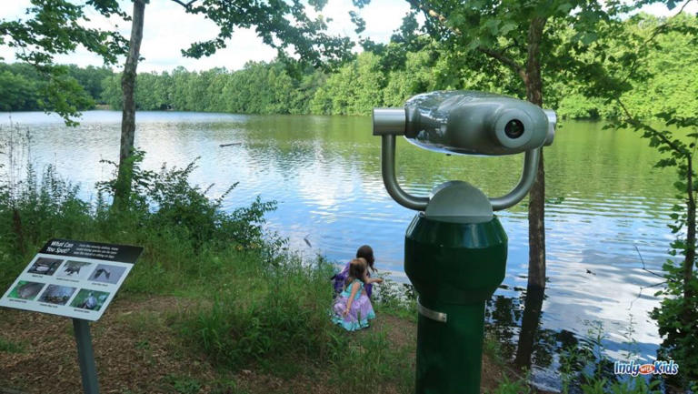 100 Free Things to Do in Indianapolis With Kids This Fall