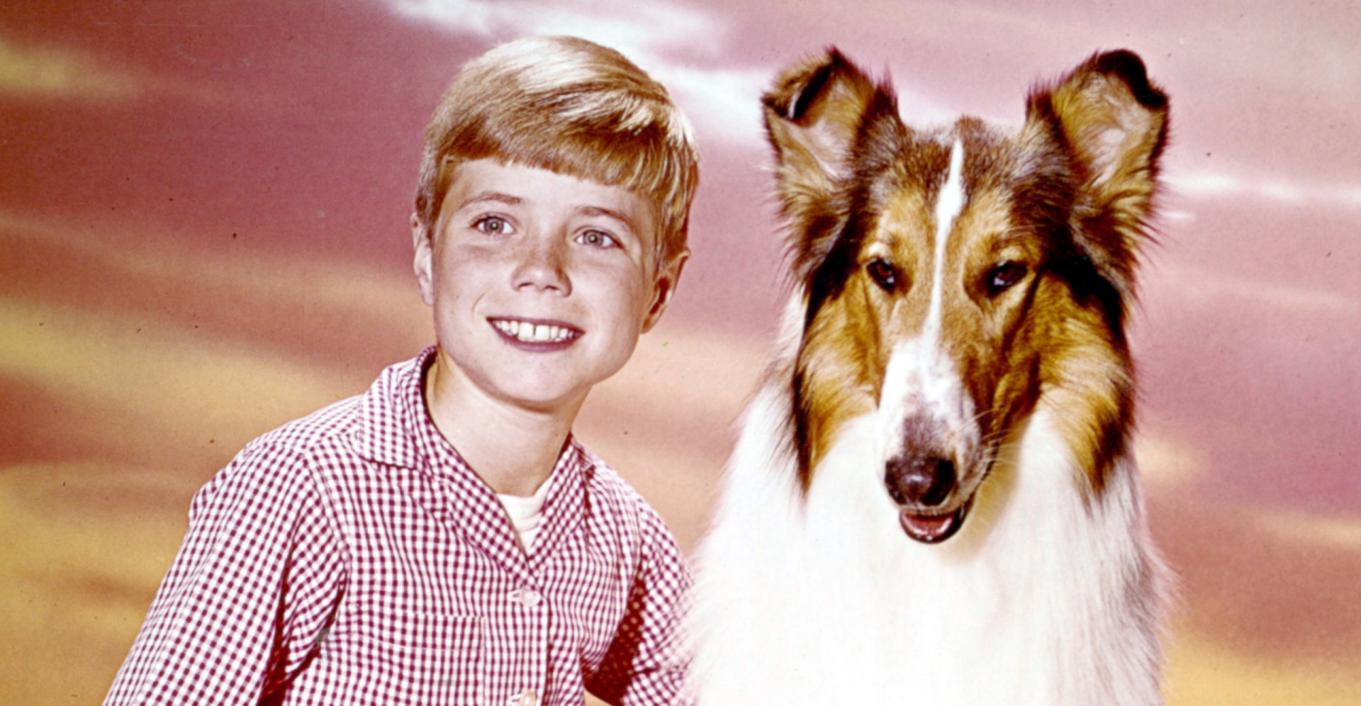 Most famous American dogs in history