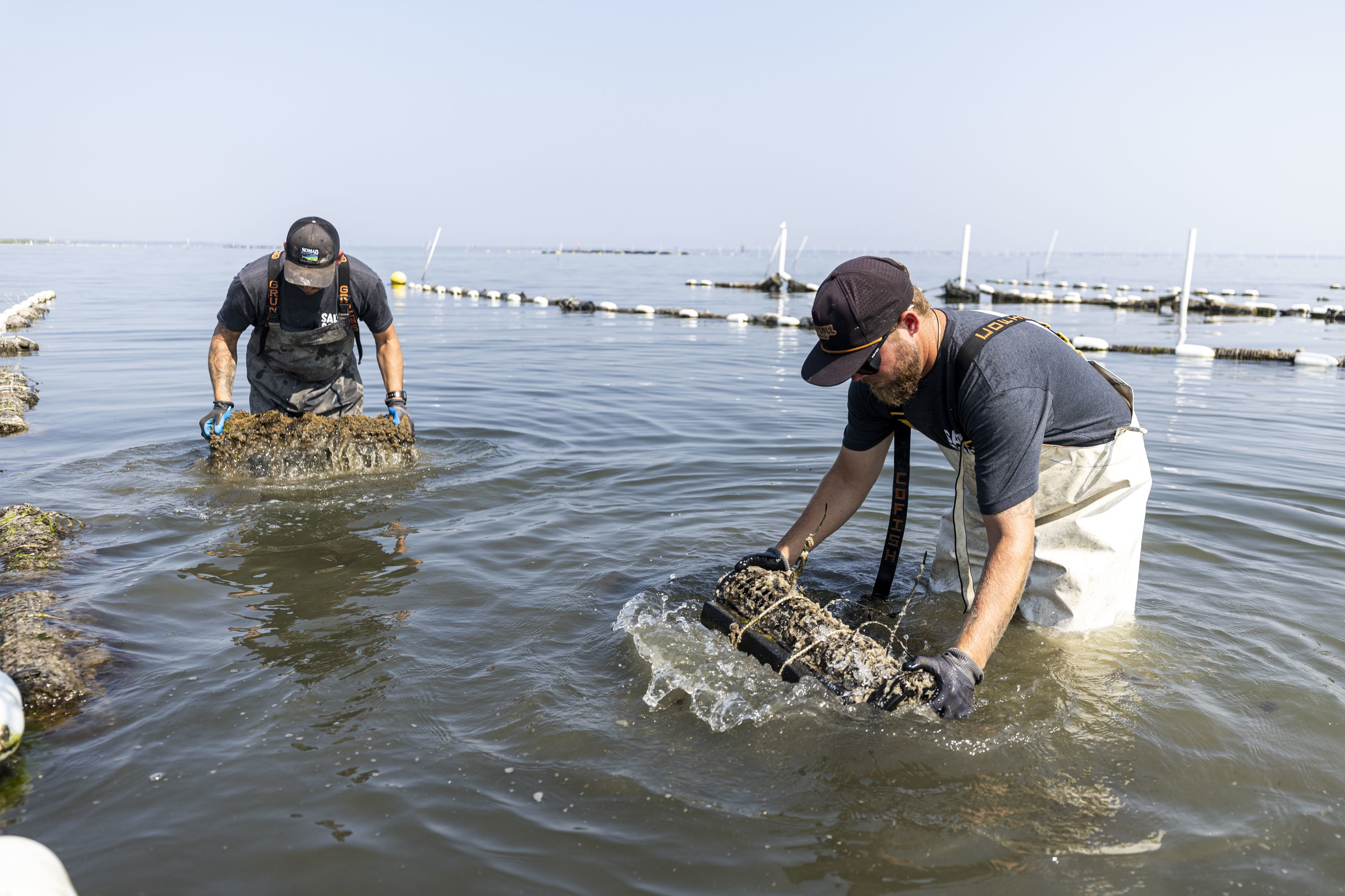 Everyone in Philly is opening a raw bar now. Here’s why.