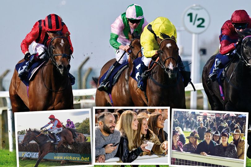 Free autumn horse racing tickets to give away with Arena Racing Company
