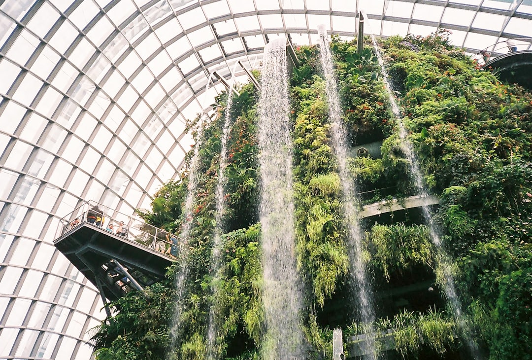 Vertical Farming: Can Cities Really Grow Their Own Food?
