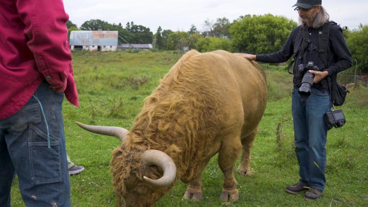 MN-based photographer captures spirit of Farm Aid through small farmers ...