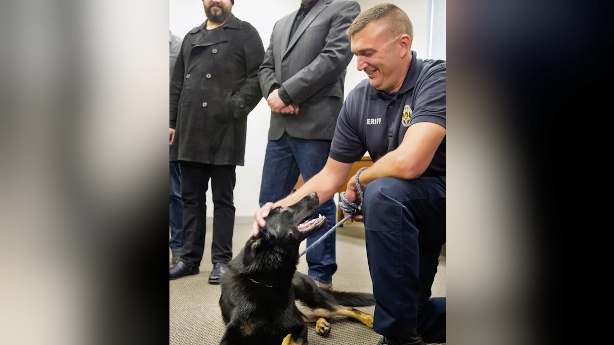 Sheriff's K-9 Deputy Godfrey among the law enforcement officers wounded ...