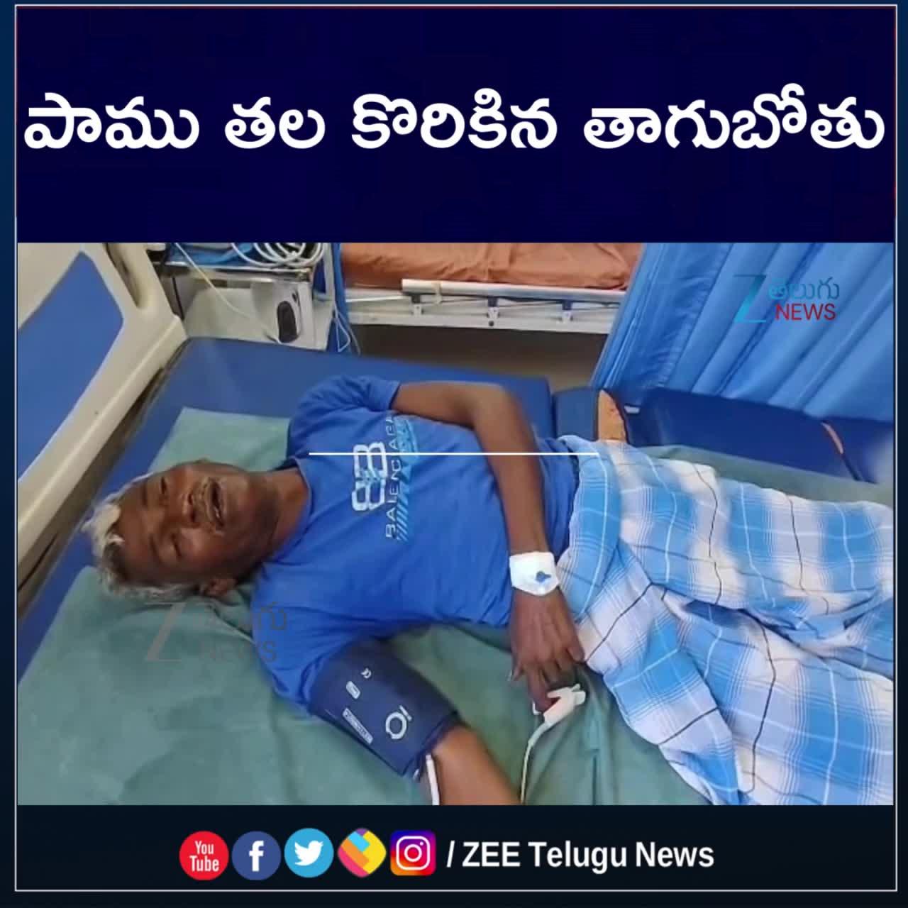 Snake Head: పాము తలను కొరికిన తాగుబోతు.. మంచంపై పెట్టుకుని తాపీగా నిద్ర