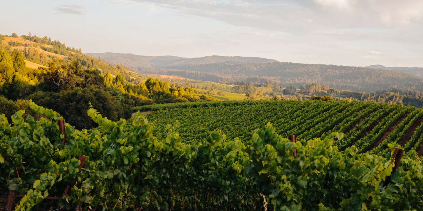 5 U.S. Wine Regions That Feel Like France