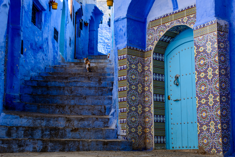 Encounters in Morocco worth planning for