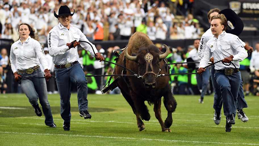 Colorado Buffaloes Announce Major Ralphie News Ahead of Wyoming Cowboys ...