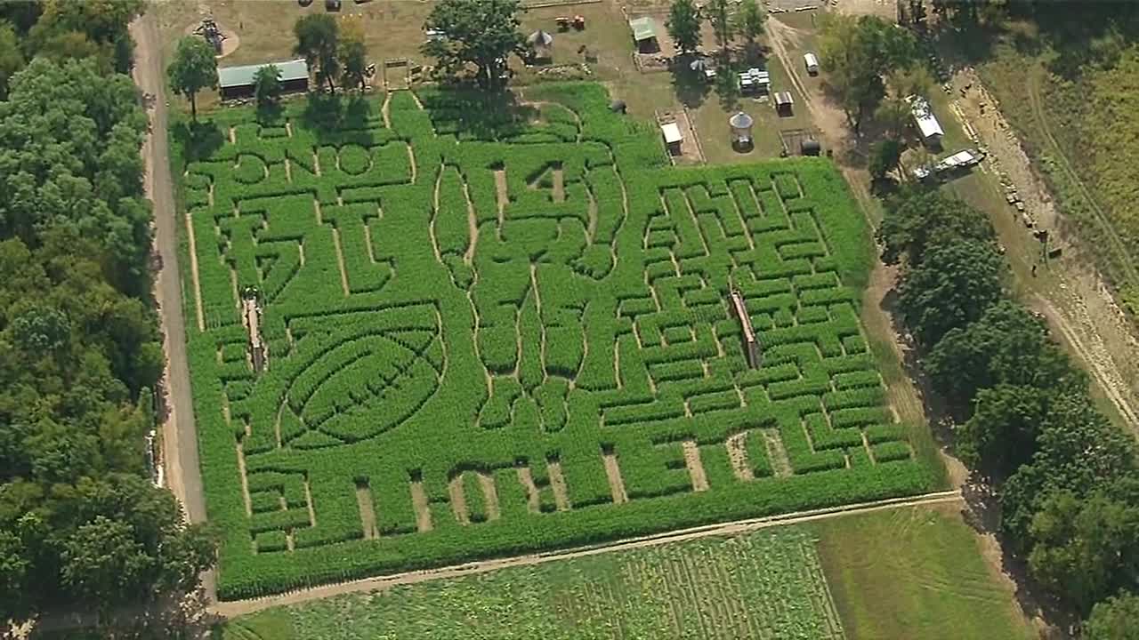 Chopper Video: Amon-Ra St. Brown corn maze in Commerce Township