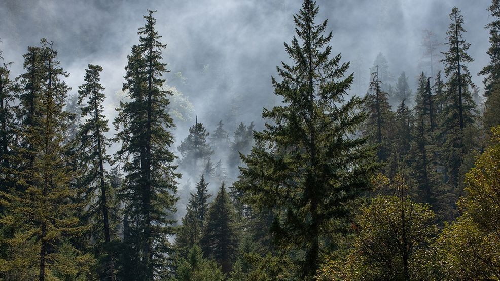 Level 2 Evacuation orders remain for areas near Foley Ridge Fire