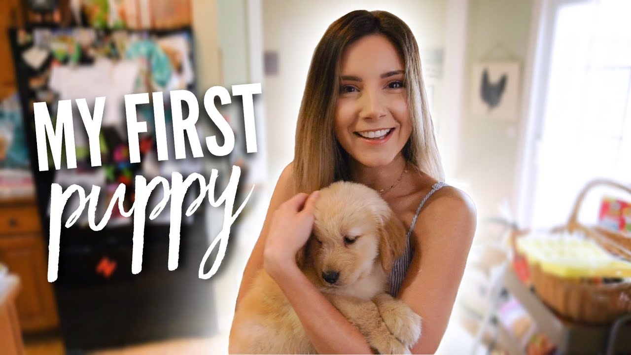 My First Puppy Experience