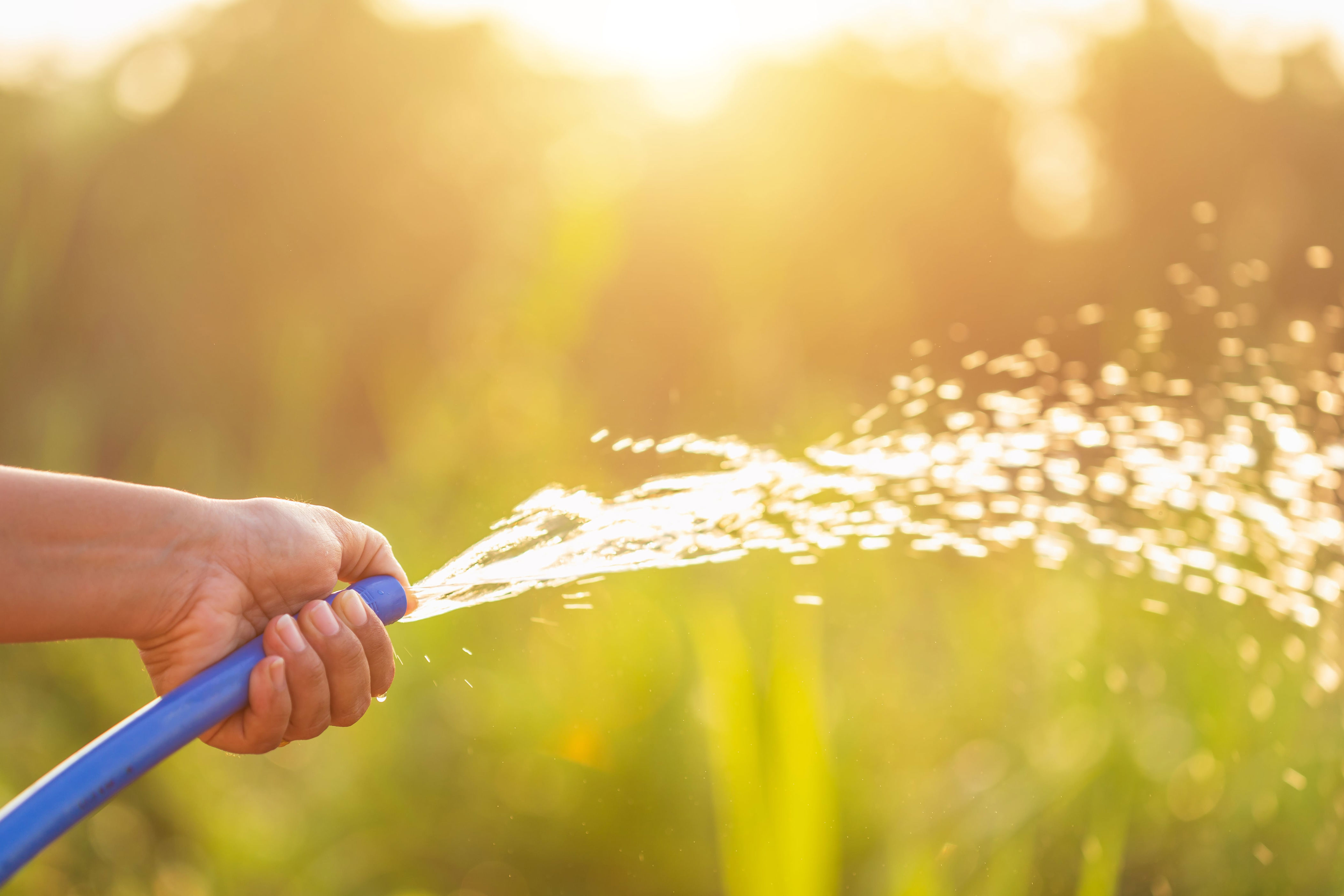 Pennsylvania American Water asks Butler County customers to reduce ...
