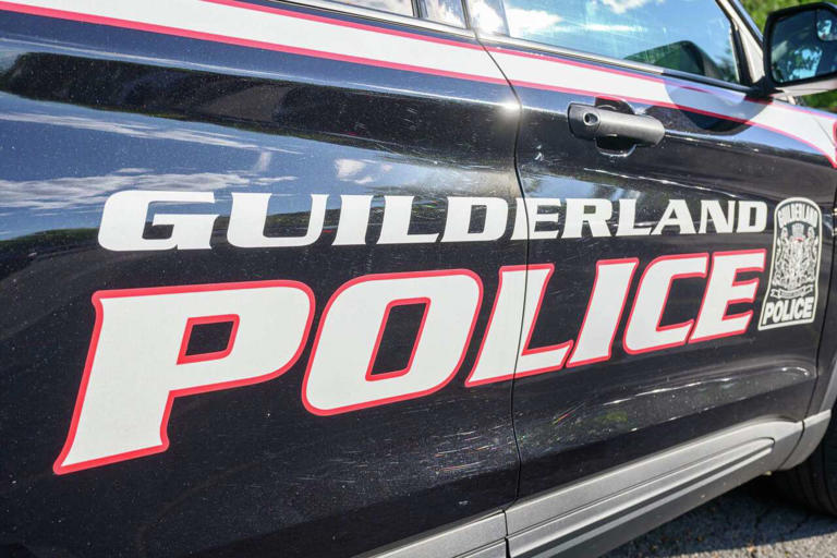 Police called to Guilderland comedy club after woman disrupts comedian ...