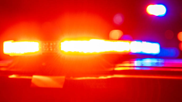 Kissimmee police deputy chief under scrutiny over lingering ...