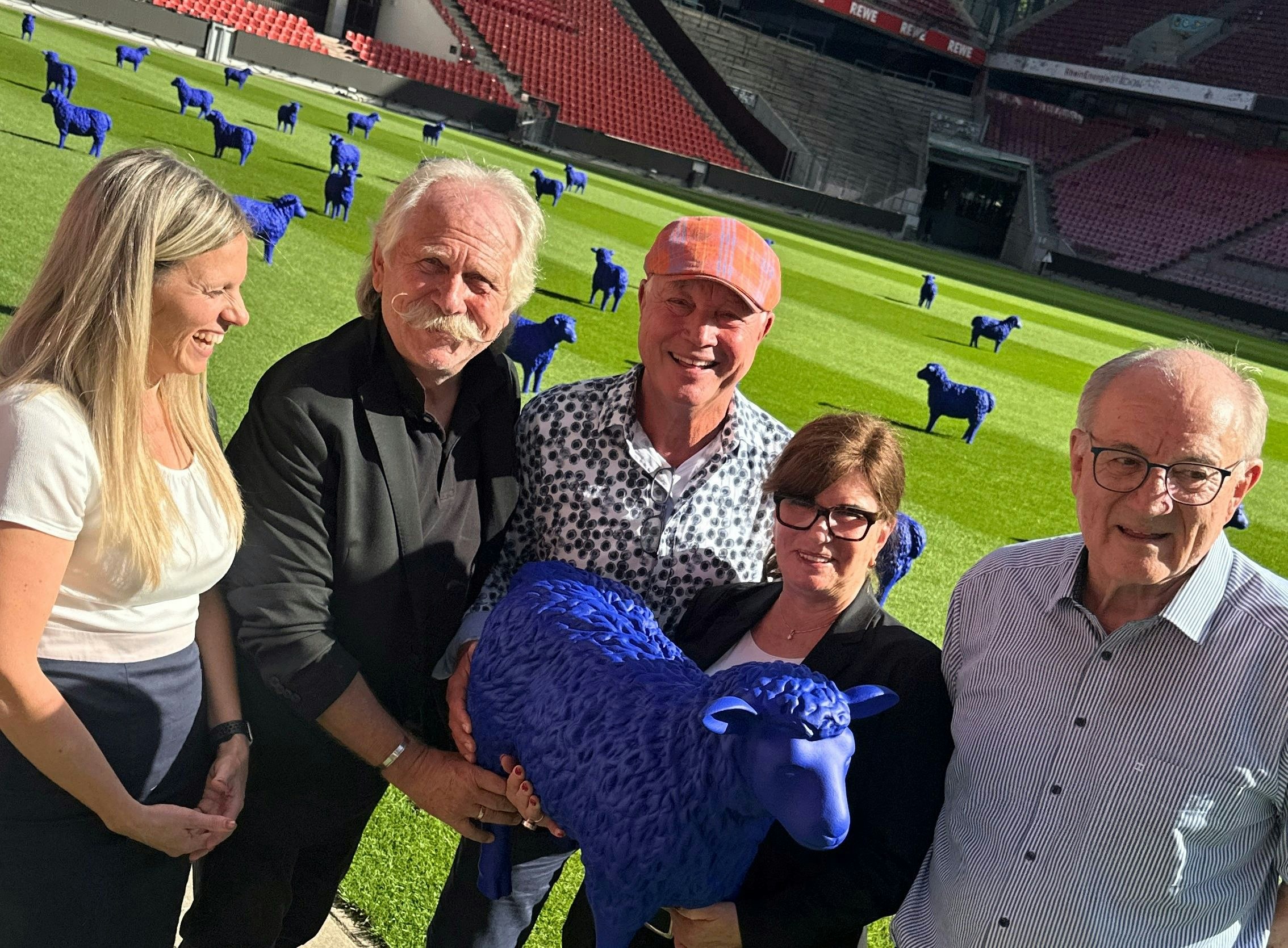 Rhein-Energie-Stadion: Schafe auf dem Platz – das steckt dahinter