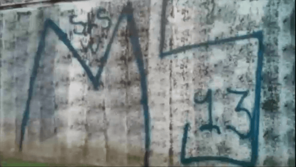 MS-13 gang member sentenced to 7 years in prison for murder cover-up in ...