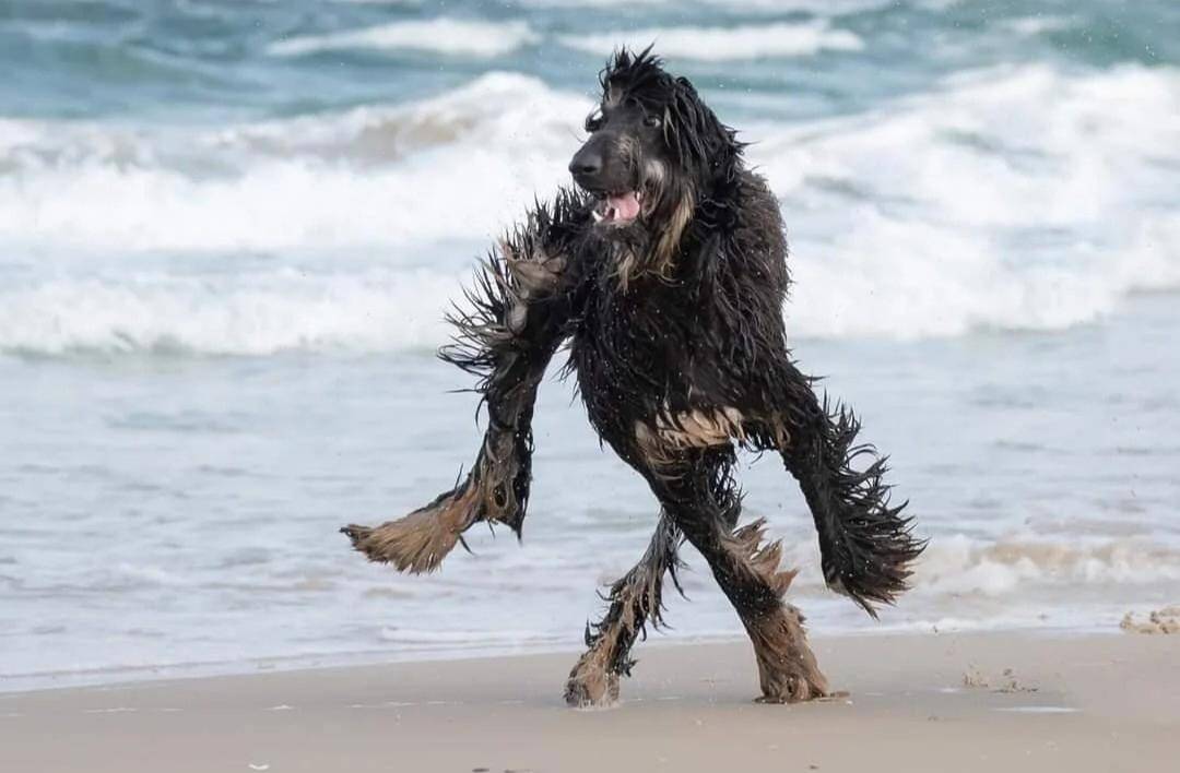 15 Strange photos that made us look twice (or thrice)
