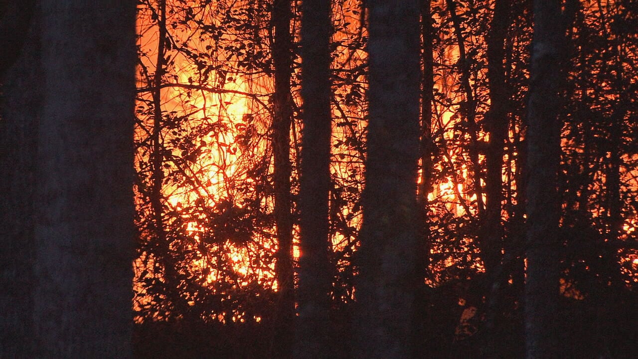 ODNR urges caution during Ohio’s Fall wildfire season