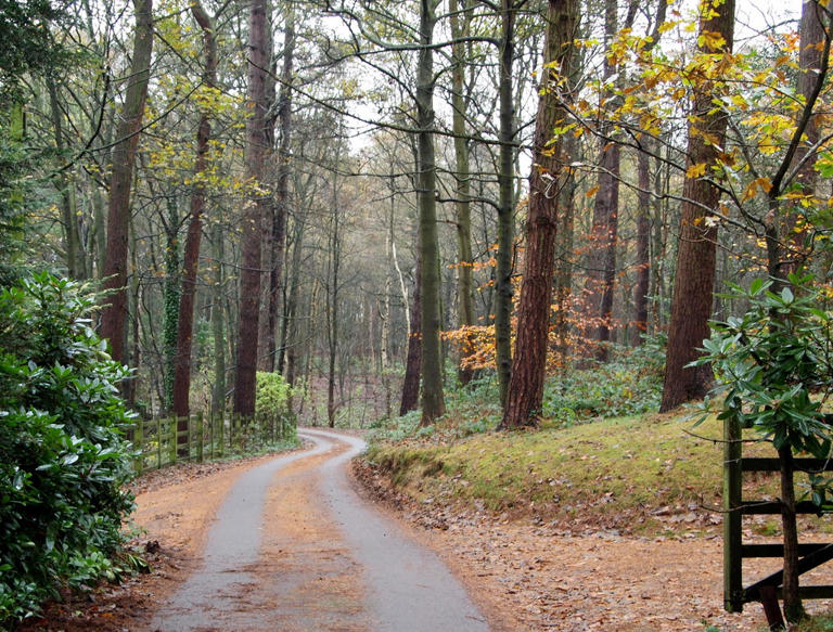 19 great market towns and villages in Nottinghamshire to visit instead ...
