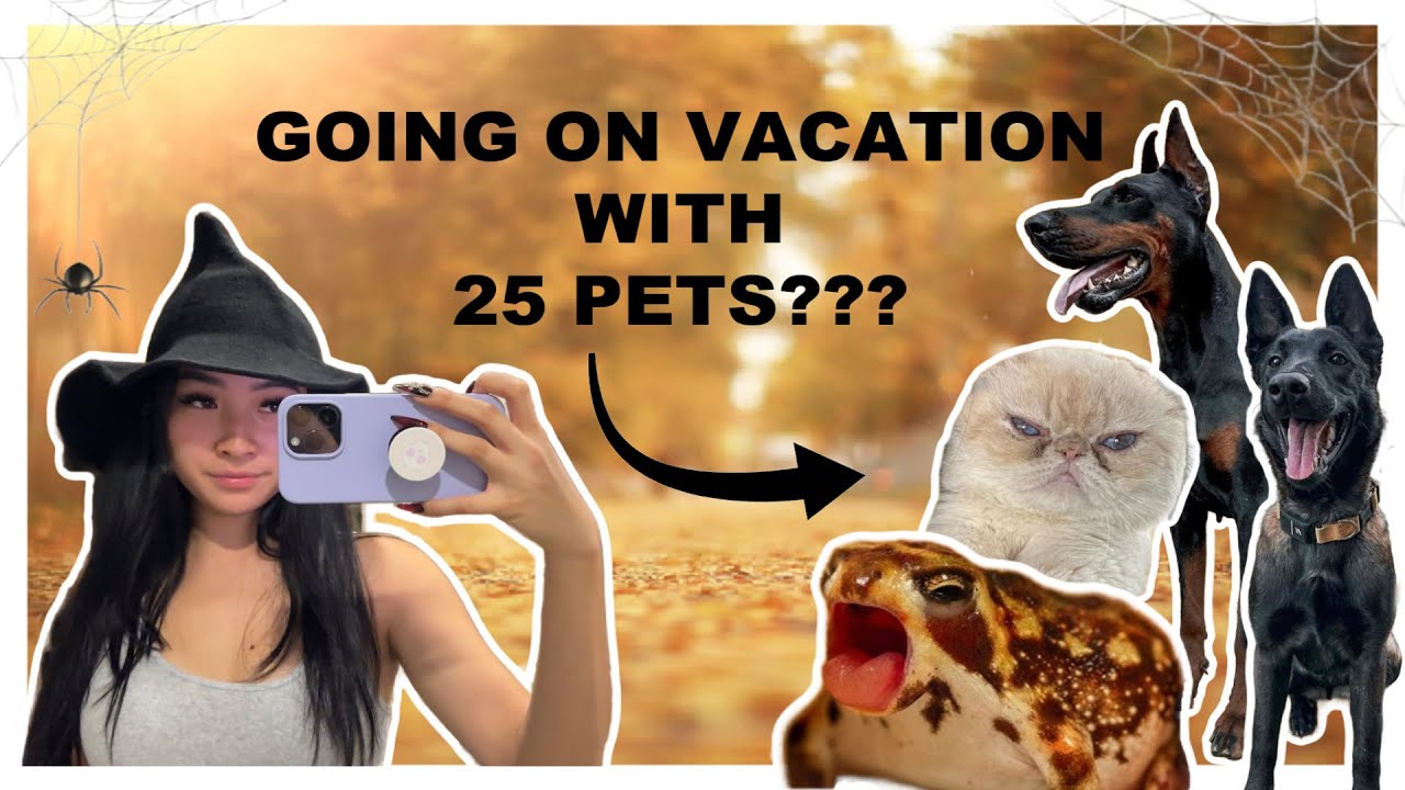 Getting 25 pets ready for vacation is no easy task