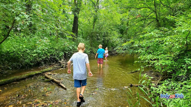 100 Free Things to Do in Indianapolis With Kids This Fall