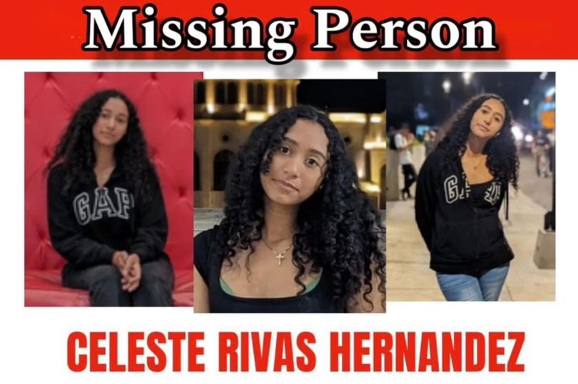 Teen found dismembered in D4vd's car 'had boyfriend named David,' mom says