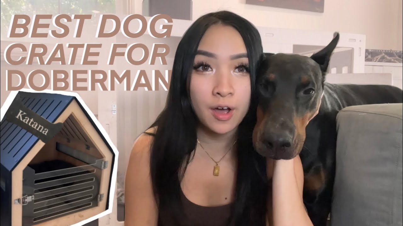 The best crate for a Doberman? Here’s my top pick