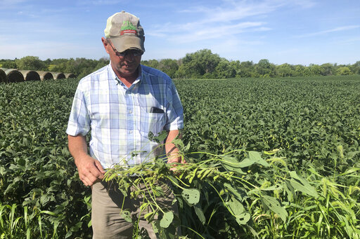How do Kansas farmers feel about the China soybean deal?