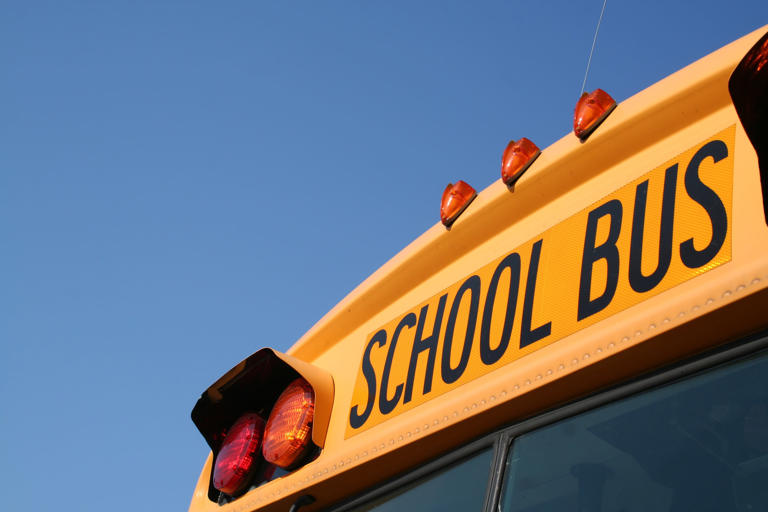 Allegheny County students among winners in 2025 Pennsylvania School Bus ...