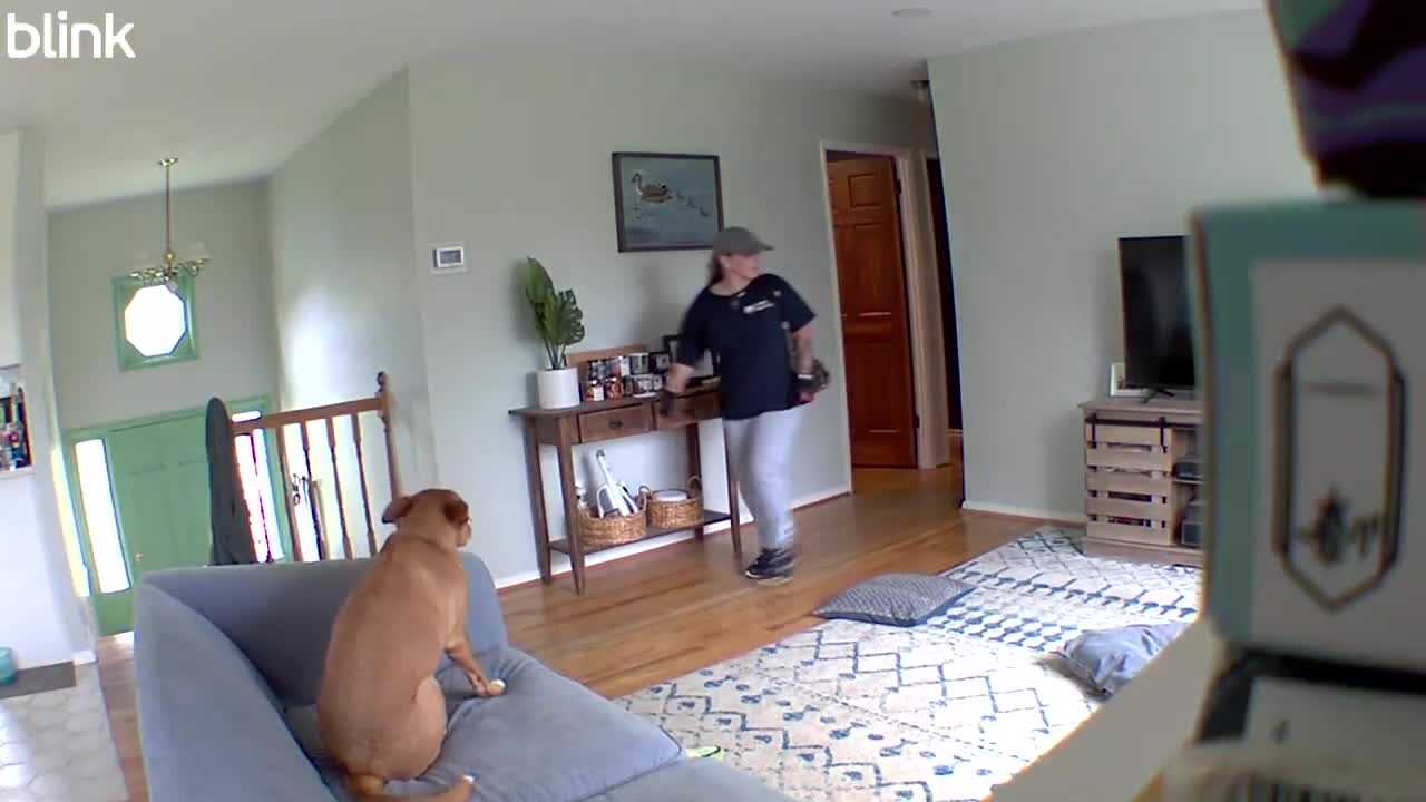Police release videos in attempt to identify alleged burglar