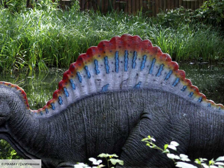Découvrez quels dinosaures vivaient autrefois à l’endroit où vous ...