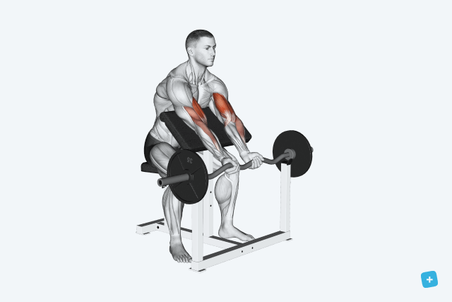 Treino de costas e bíceps: 10 melhores exercícios e como fazer