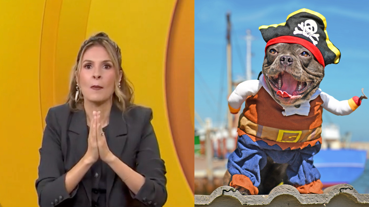 Arrgh! It's International Talk Like a Pirate Day!