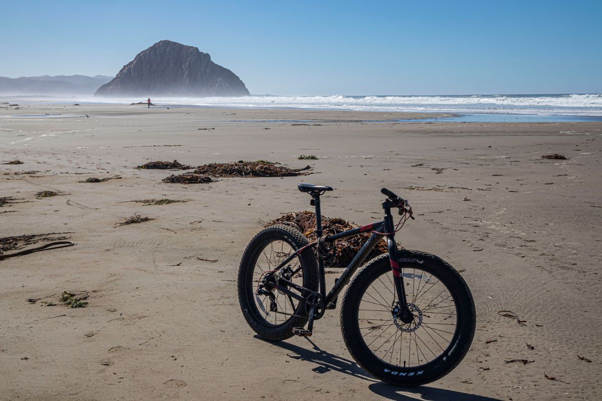 The Fat Tire Bike Is a Year-Round Cardio Champ