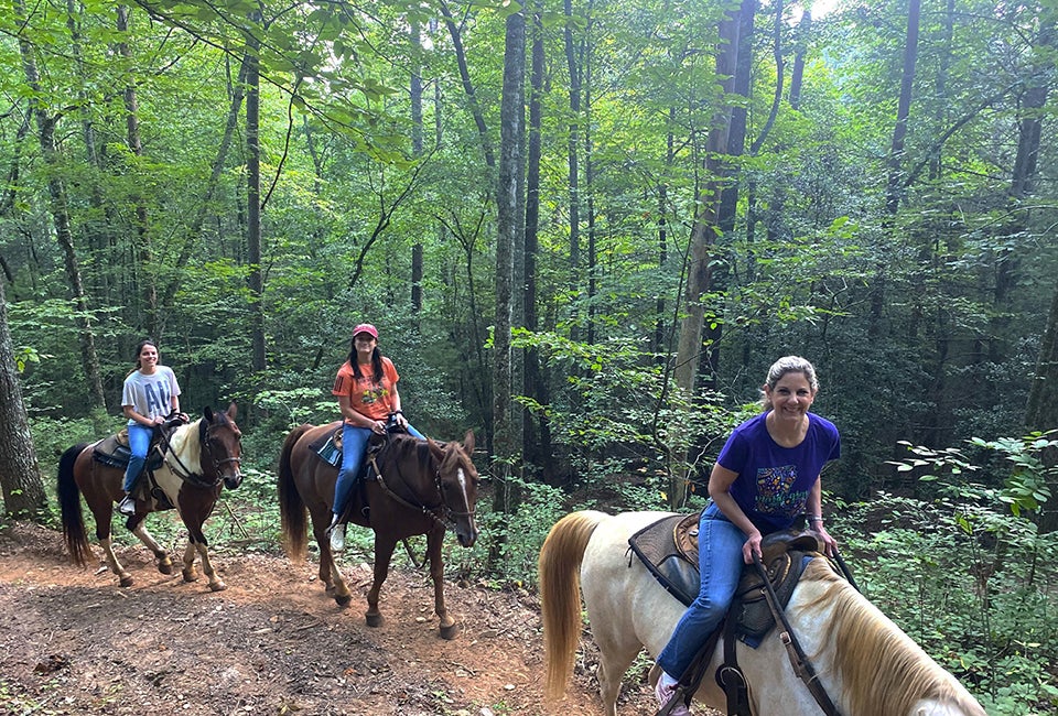 Guide to Blue Ridge, Georgia: Visit the Blue Ridge Mountains with Kids