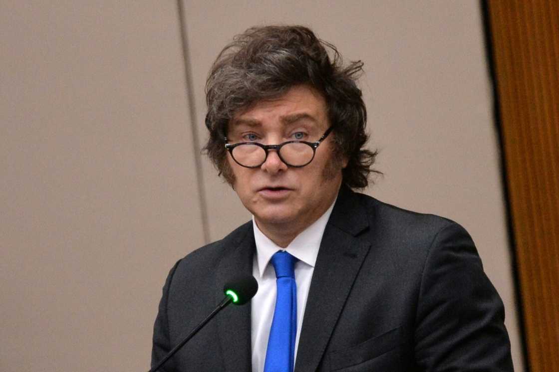 Argentina's Milei says 'political panic' rattling markets