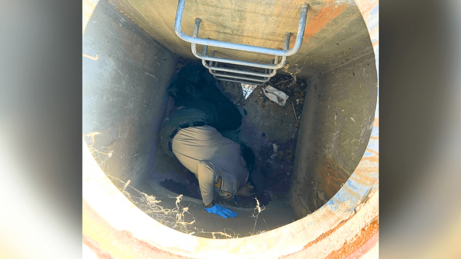 Mystery animal rescued after days in Southern California storm drain
