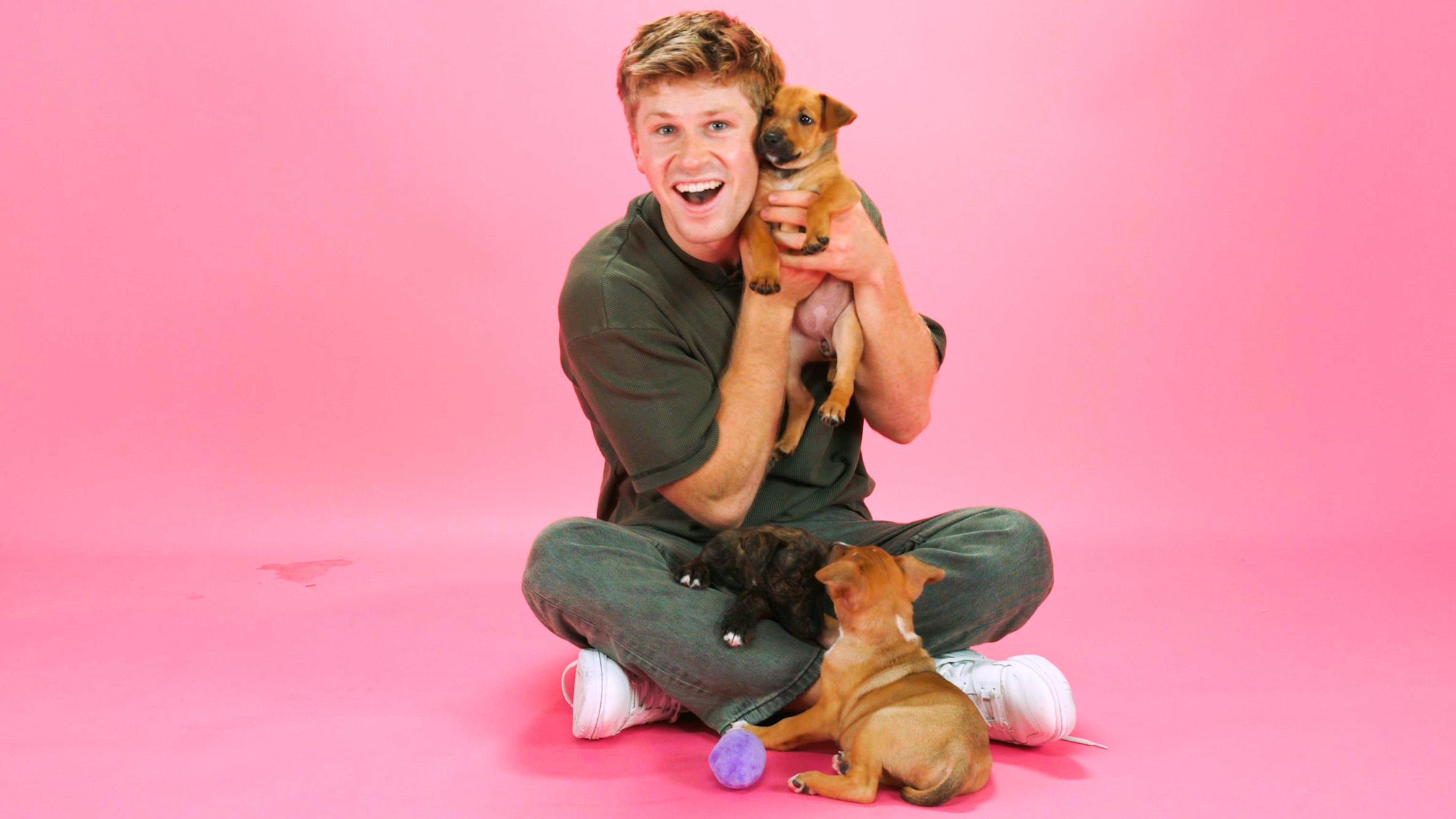 Robert Irwin: The Puppy Interview