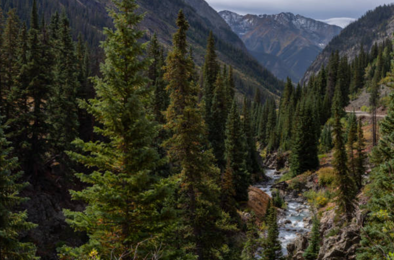 Two missing elk hunters found dead in Colorado: search team