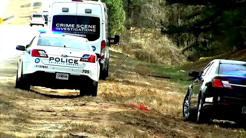 Peachtree Corners divided over need for own police force