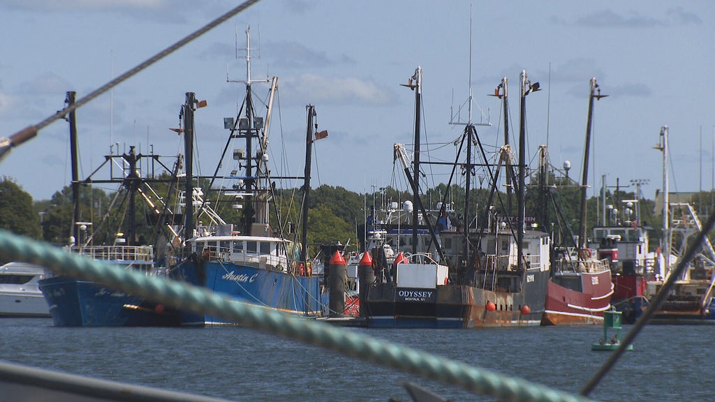 New Bedford fisherman who found lifeline with offshore wind project ...