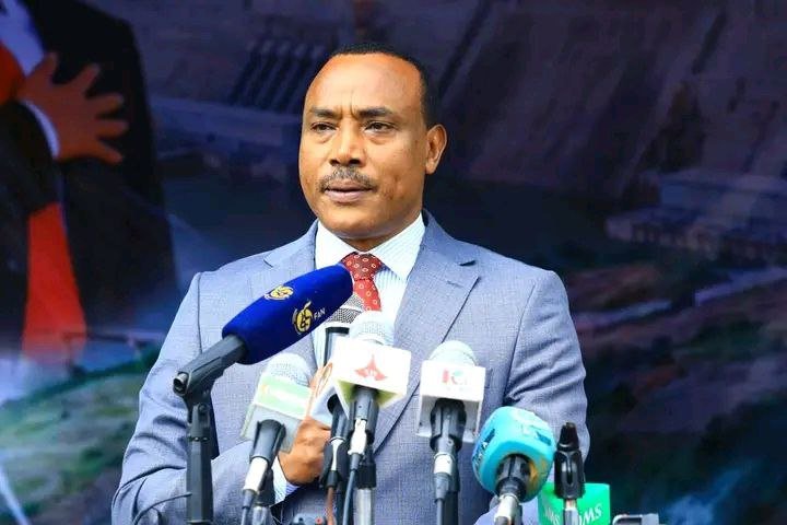 Channeling GERD’s Spirit Crucial for Ethiopia's Development: Deputy ...