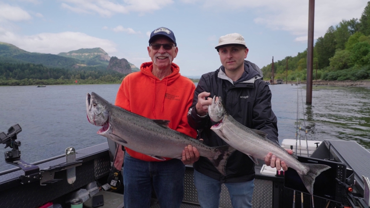 Anglers hook copious amounts of salmon in Oregon's Columbia River while ...