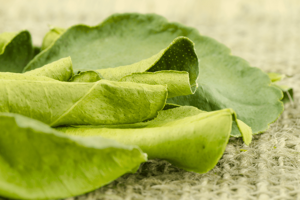The 13 Most Expensive Spices in the World