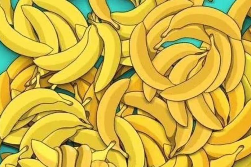 You'll need a high IQ to find hidden animal in pile of bananas in just ...
