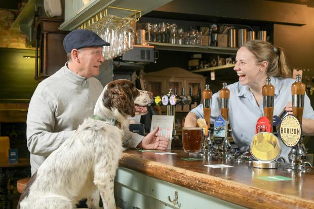 Pints and pooches: Family run New Forest pub named UK's most dog friendly