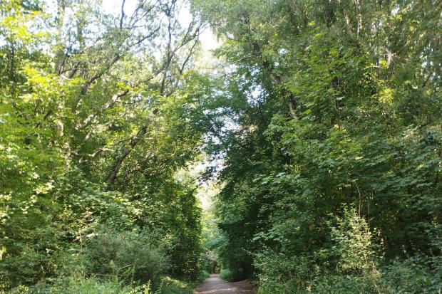 Walk of the Week: Wonderful Wickham wander with the Ordnance Survey